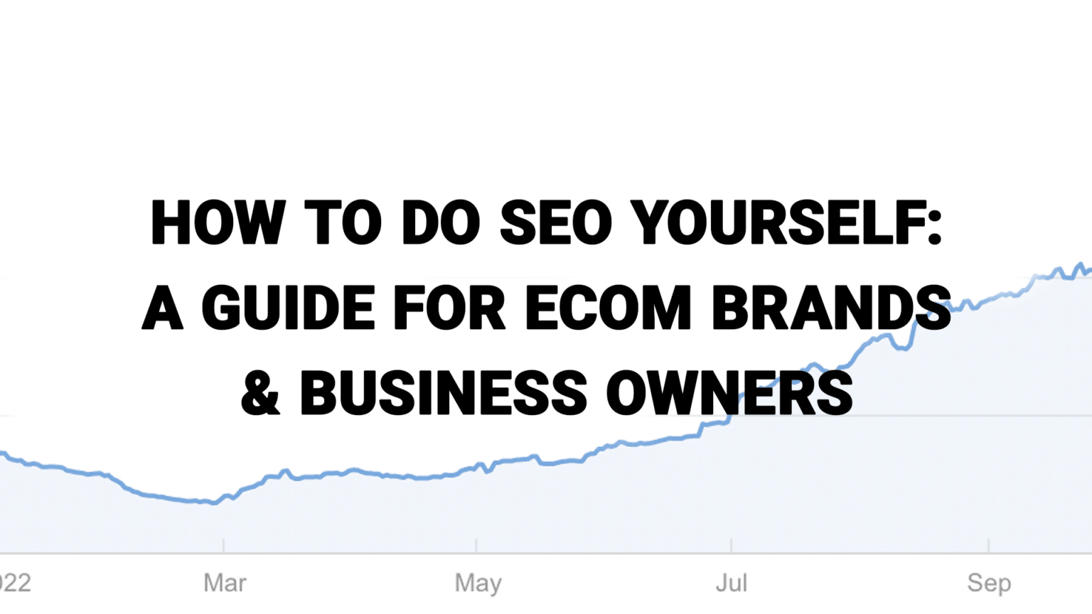 How to do SEO Yourself: A Guide for Ecom Brands & Business Owners